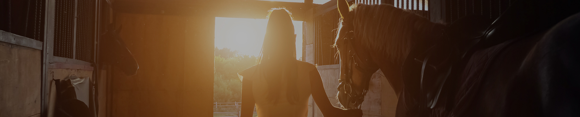 Crypto Aero - About Us | Crypto Aero